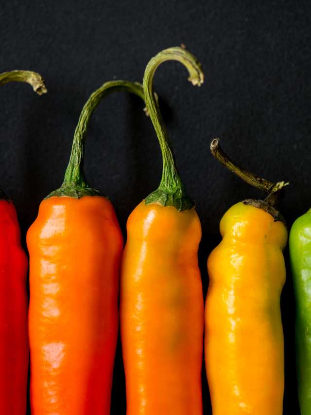 Feeling The Heat: A Guide To Types Of Peppers