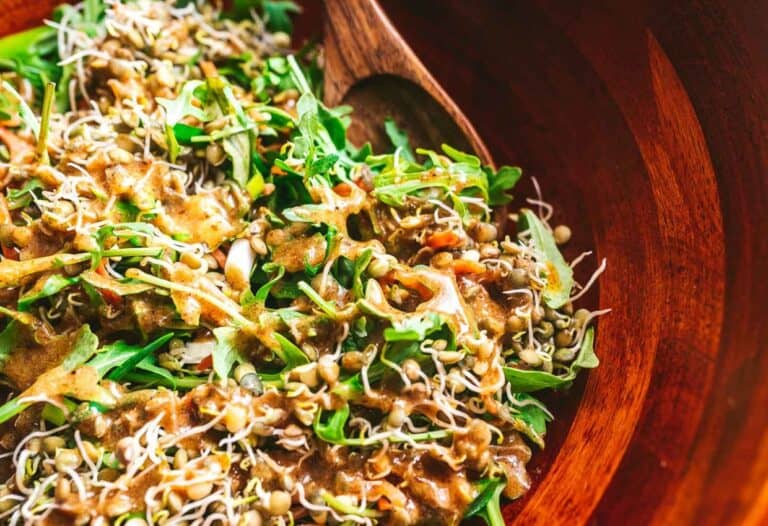 Grow your own superfood: A step-by-step guide to growing sprouts