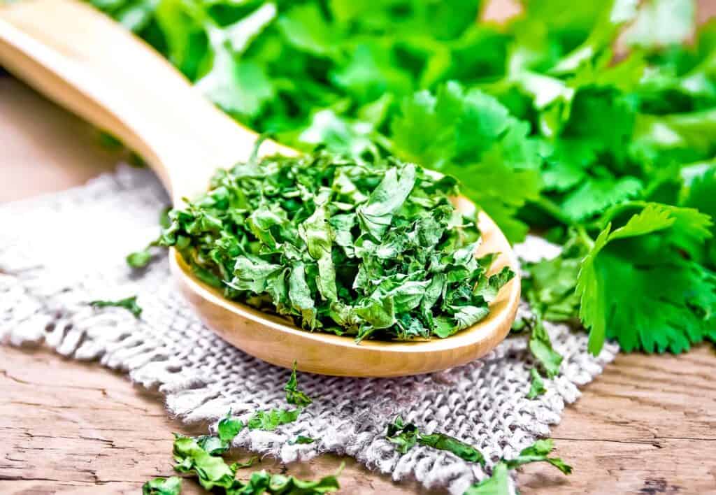 Cilantro companion: How to prep, store and cook fresh cilantro