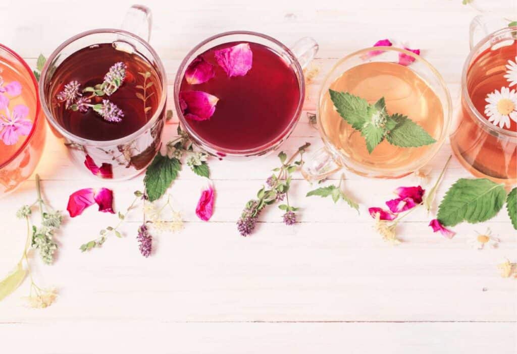 Tea garden 101: A guide to growing and harvesting tea