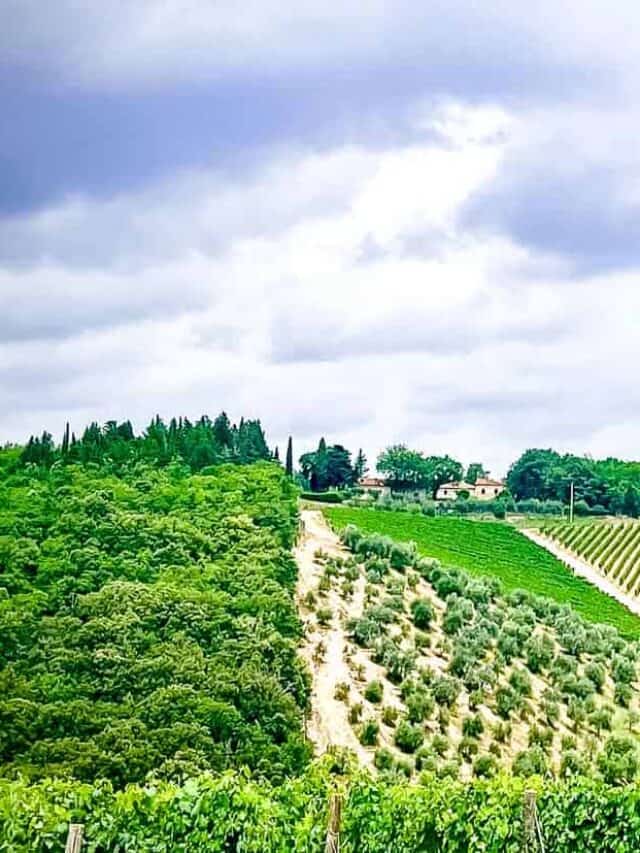 Guide to Beauty of Tuscany