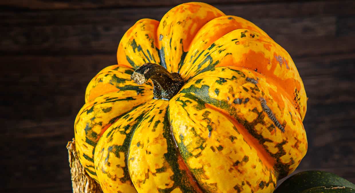 From acorn to delicata: All about winter squash varieties
