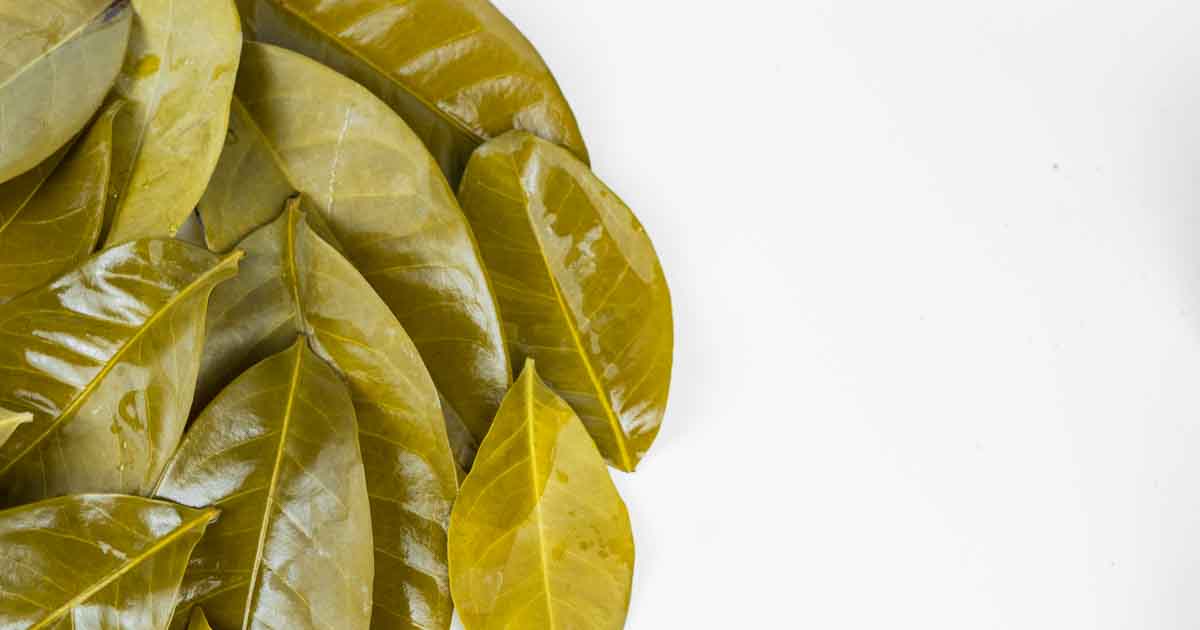 Unlocking flavor: How to store and cook with dried bay leaves