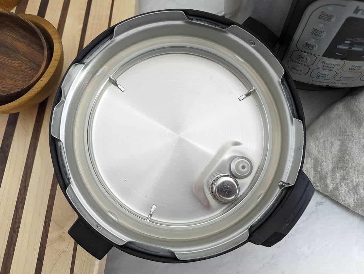 A beginner's guide on how to use an Instant Pot