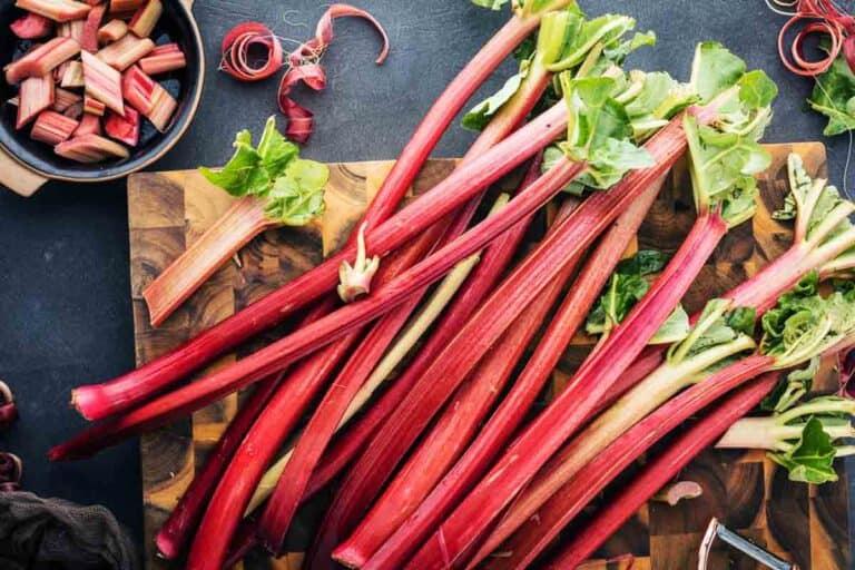 Meet rhubarb, the veggie that dreams of being a fruit