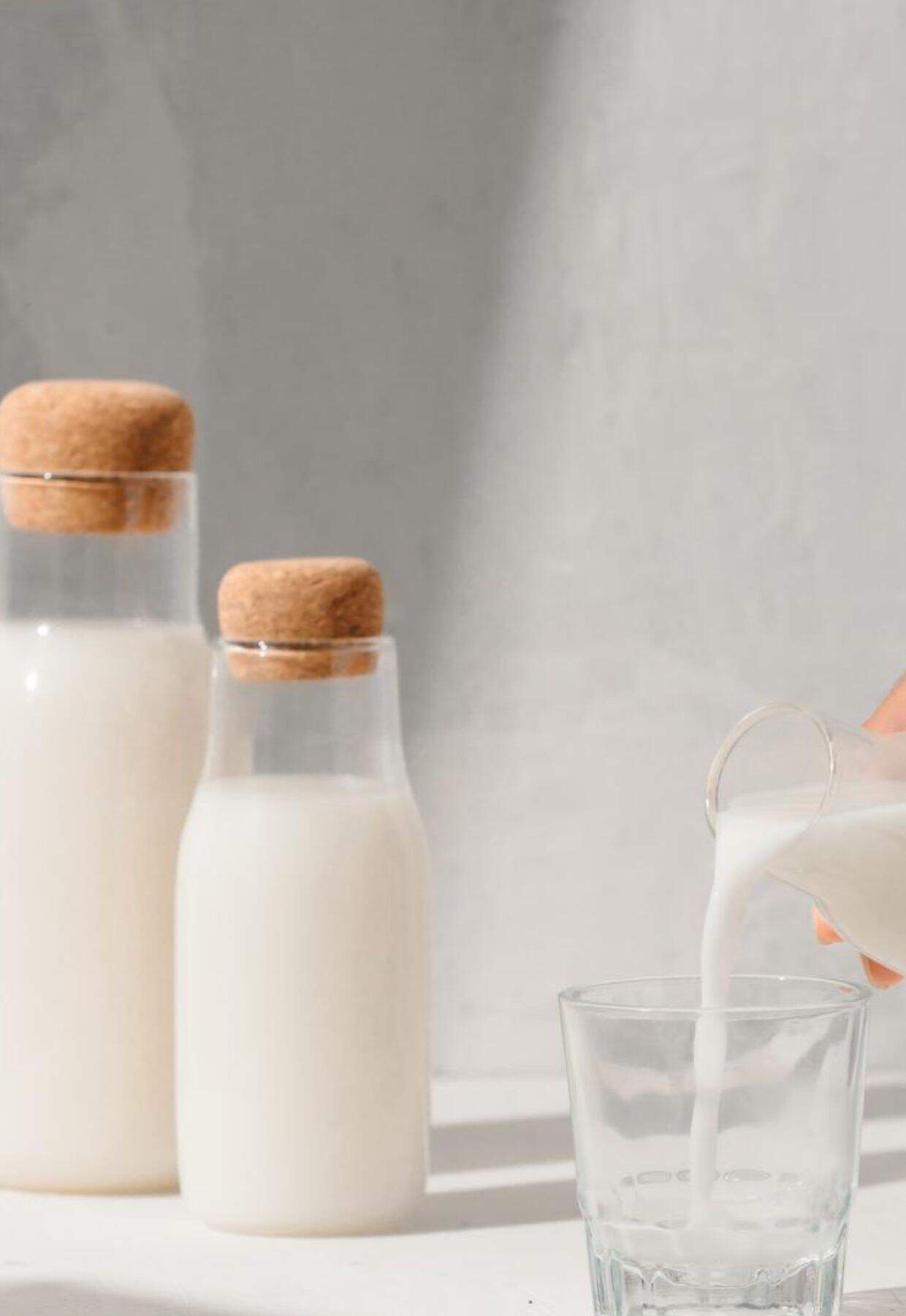 Exploring different types of milk: Dairy and alternatives explained