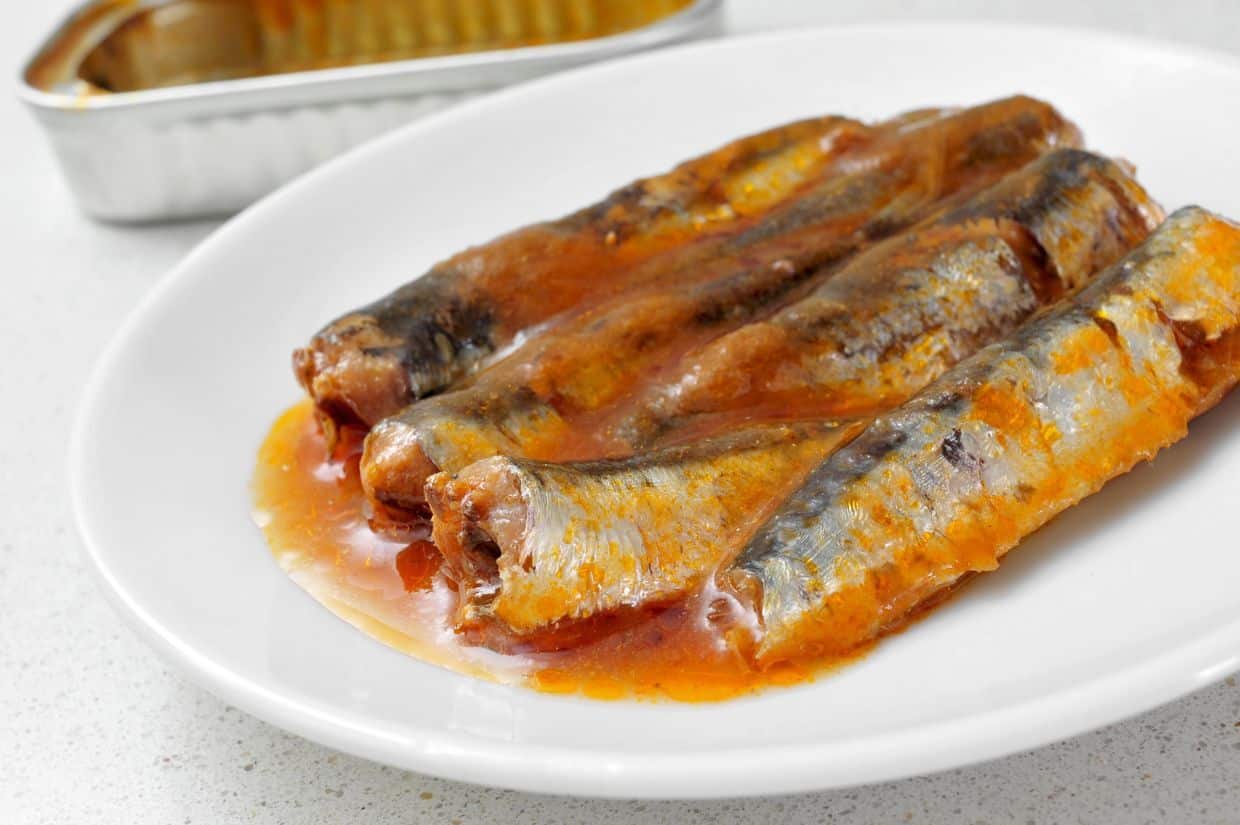 Everything you need to know about canned sardines