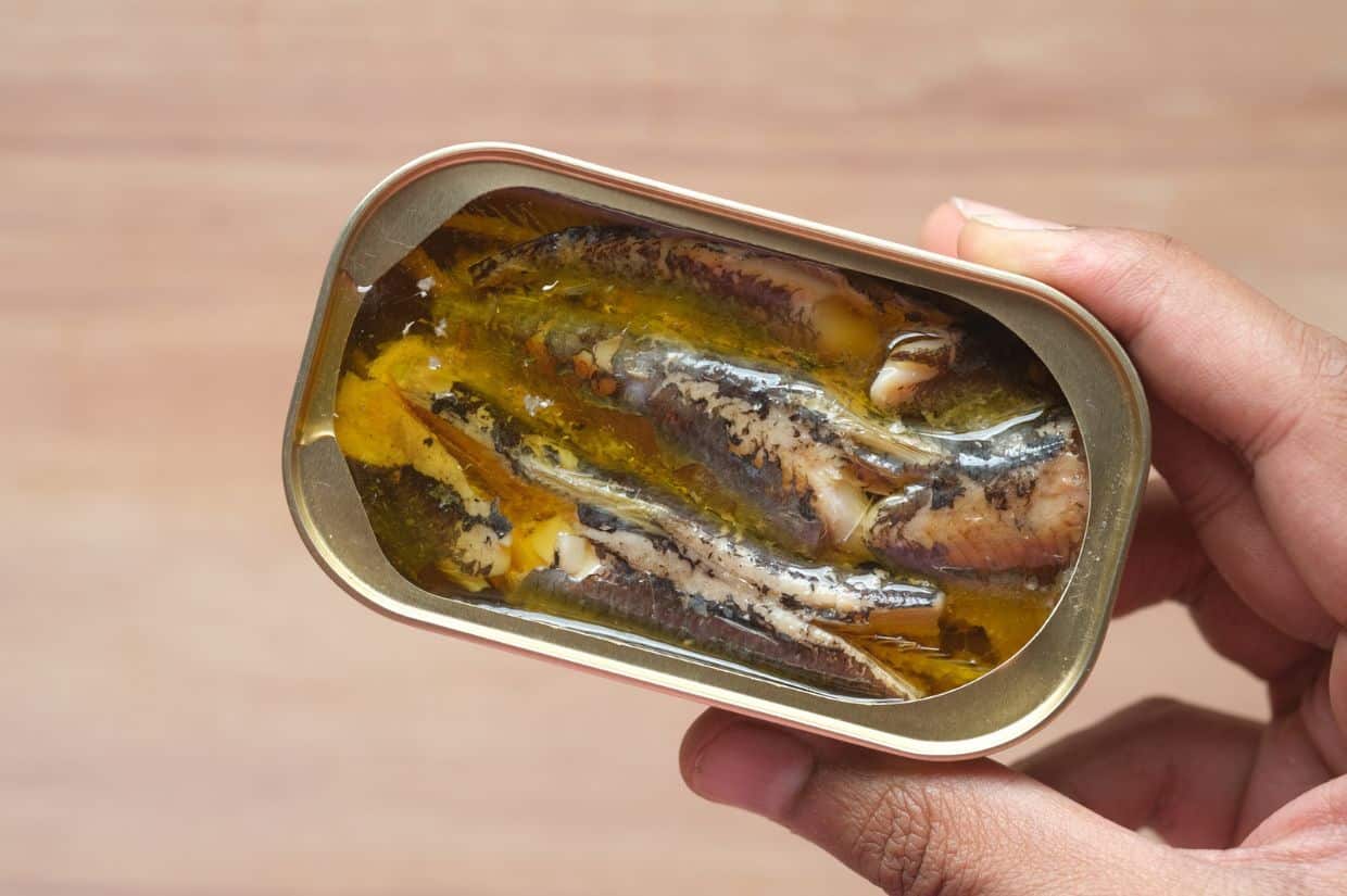 Everything you need to know about canned sardines