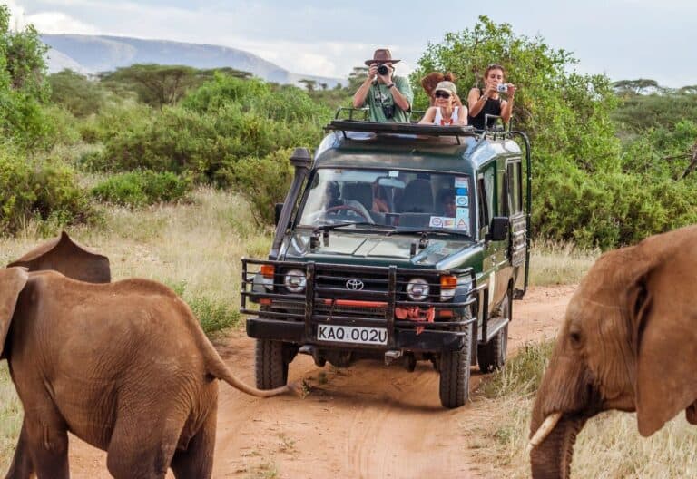 Distance, not disturbance, marks World Wildlife Day message | News ...