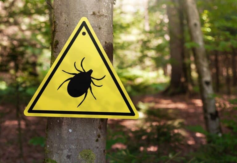 Spring is here, and so are ticks | National | postguam.com