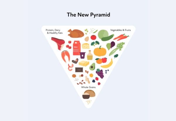 The food pyramid turns on its head in the latest federal guidelines ...